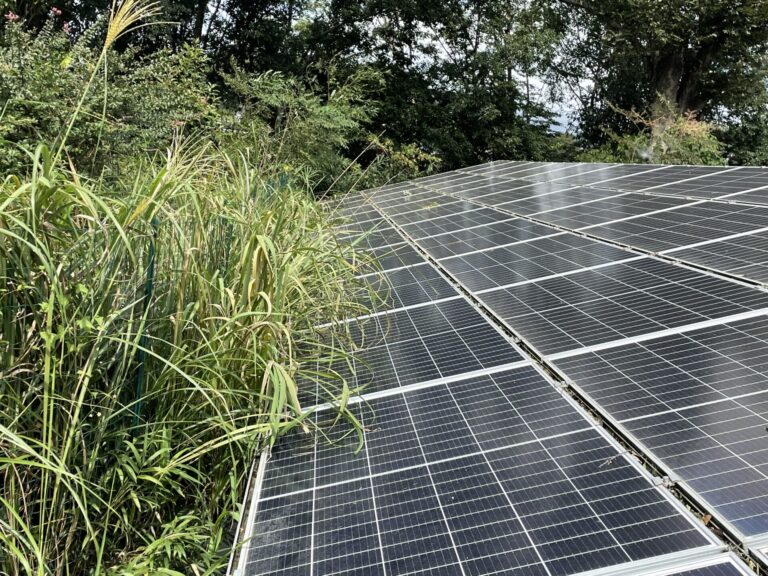 D058DFB3-4B71-4A52-9832-4A9C1039A14B｜株式会社ソラプロテック｜太陽光発電所の運営とメンテナンス【三重県全域対応】